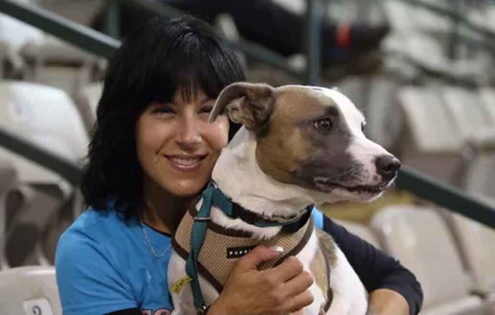 Contact ECHO - ECHO Rescue