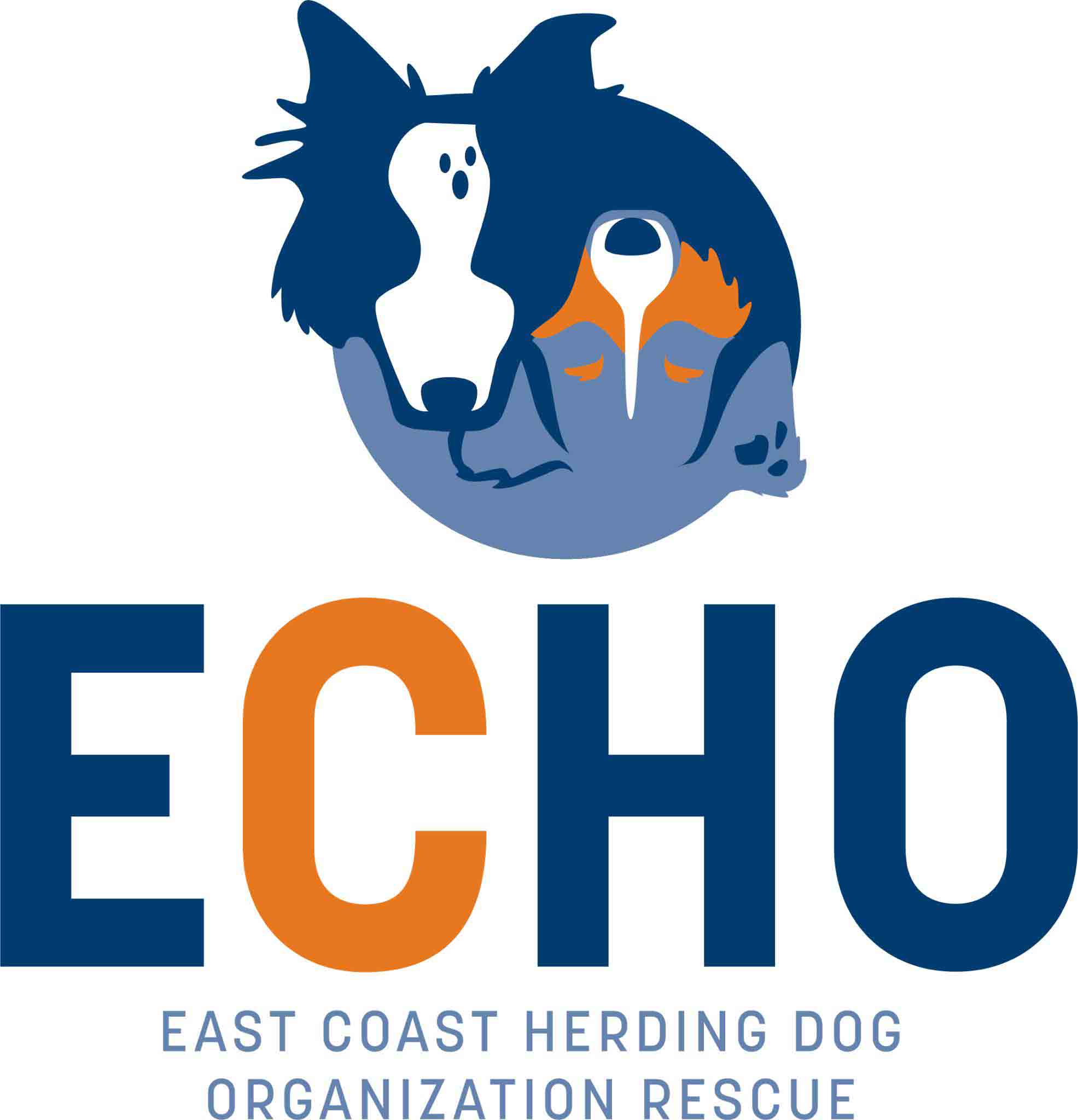 ECHO Agility Fundraiser June 2024 - ECHO Rescue